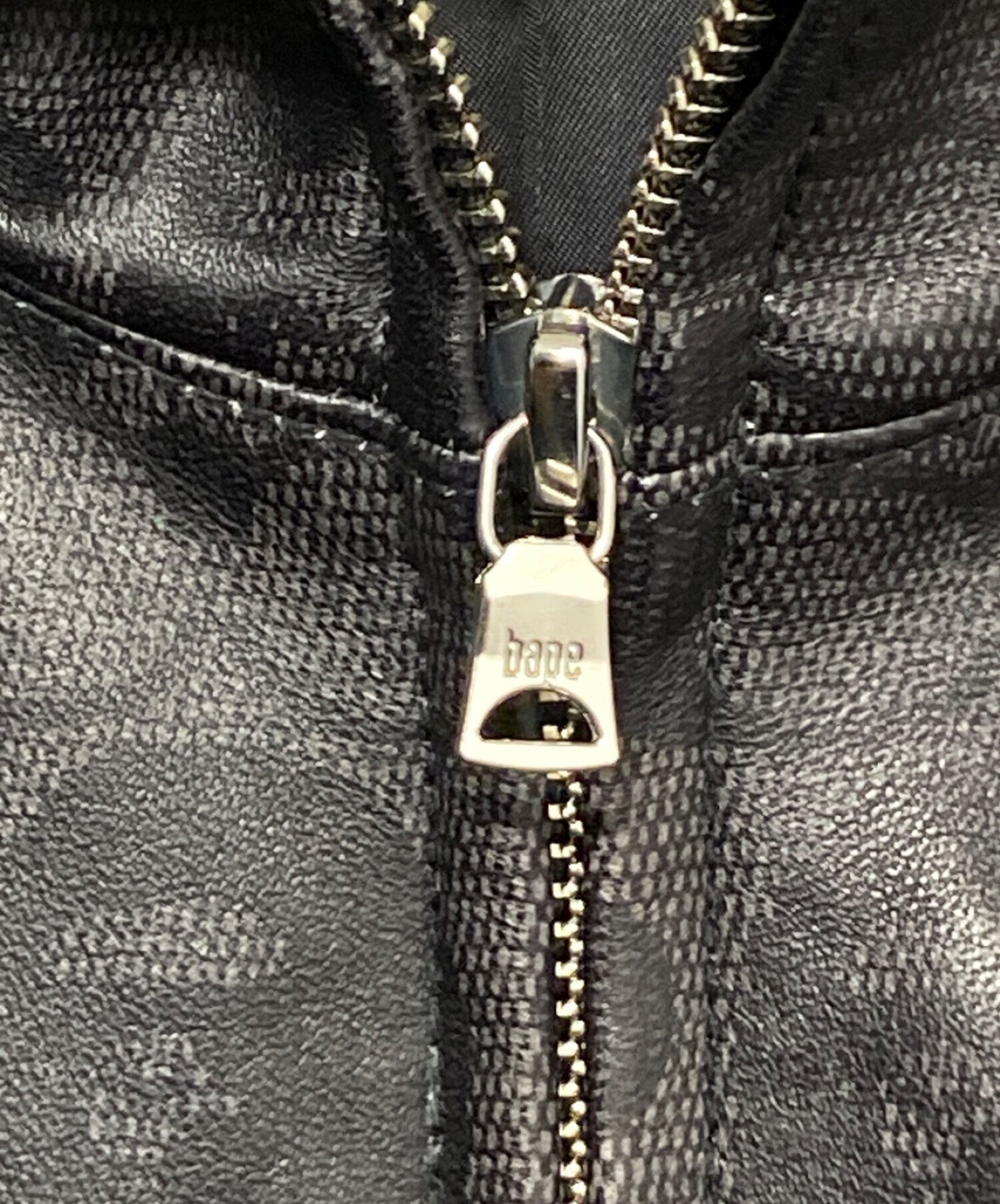 COACH Ape Godzilla Leather Parka 001hjg231903x | Archive Factory