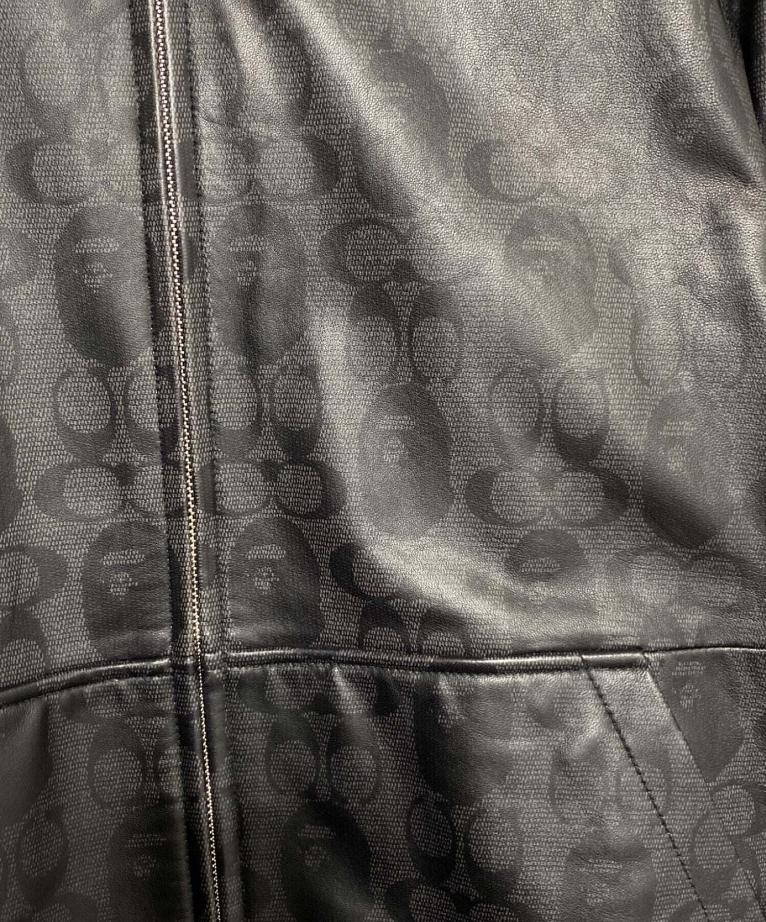 COACH Ape Godzilla Leather Parka 001hjg231903x | Archive Factory