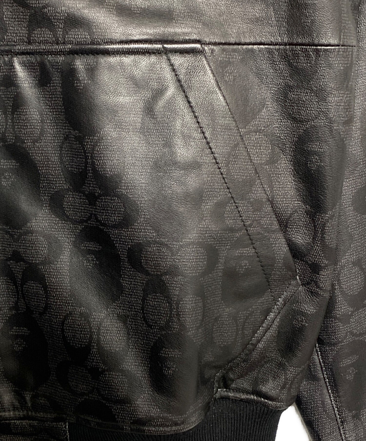 COACH Ape Godzilla Leather Parka 001hjg231903x | Archive Factory