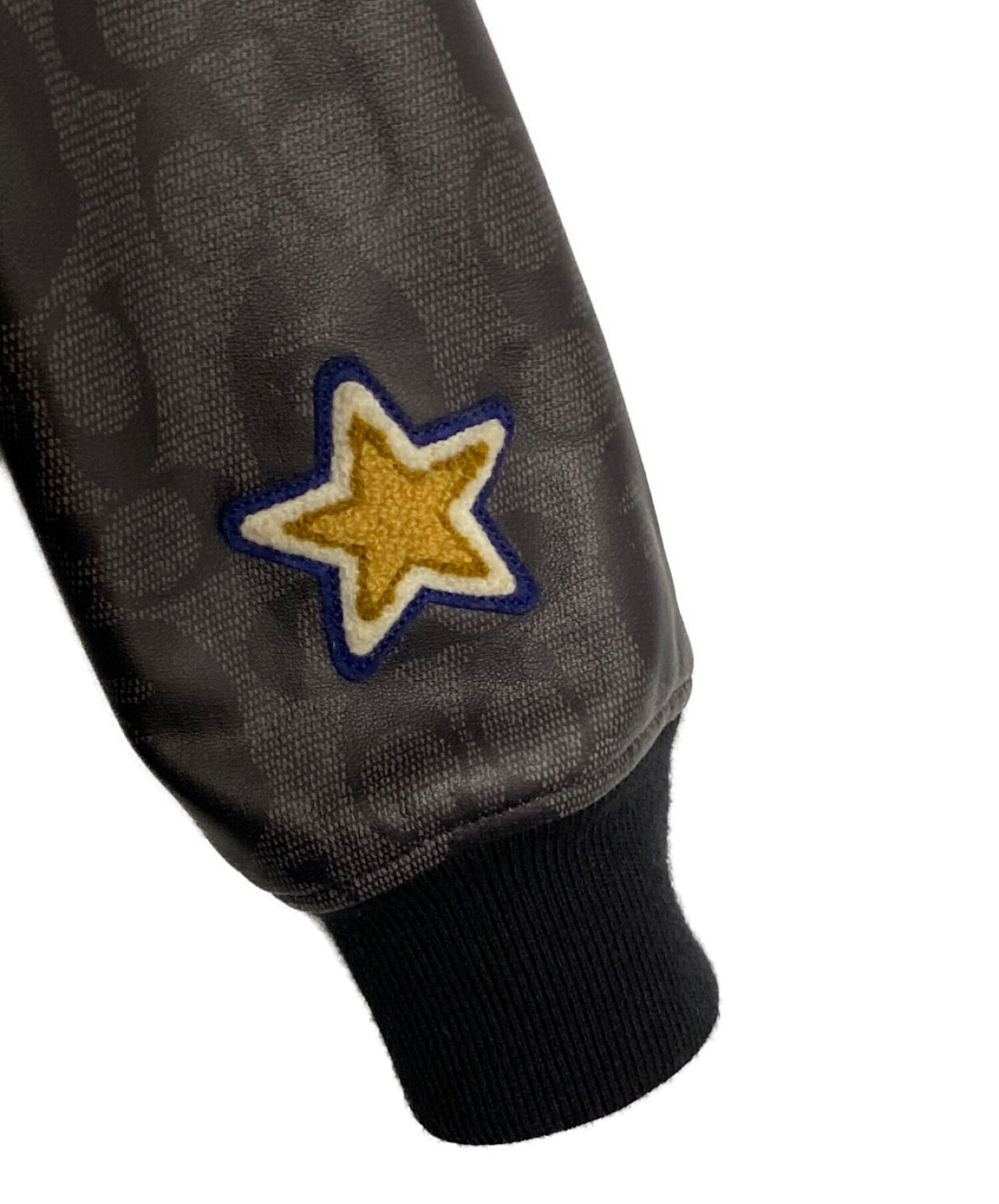 COACH Ape Godzilla Leather Parka 001hjg231903x | Archive Factory